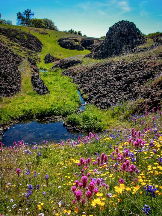 Volcano Alley | Shutterbug